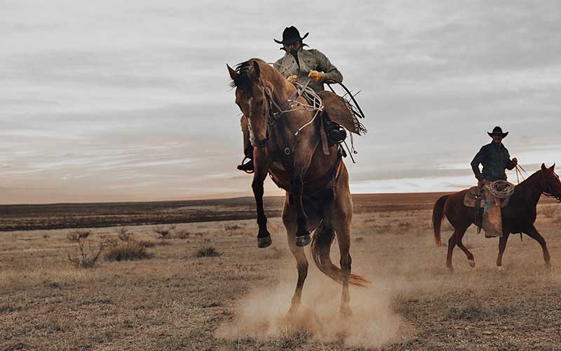 Boot Barn Orlando Western Wear - Save with Discount Coupon