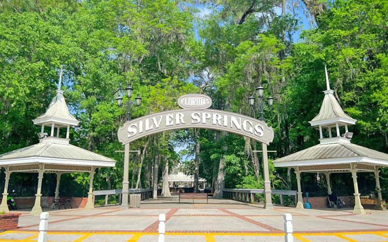 Glass Bottom Boat Tours at Silver Springs State Park in Ocala
