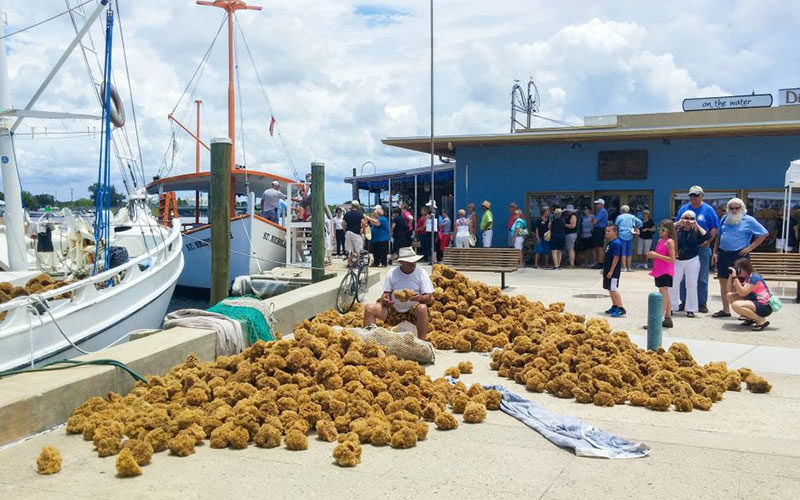 Tarpon Springs Sponge Docks | Boat Tours, Dining & Shopping Tarpon Springs Sponge Docks | Boat Tours, Dining & Shopping