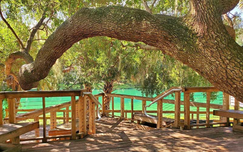 Gemini Springs Park | Recreation, Trails, Camping north of Orlando