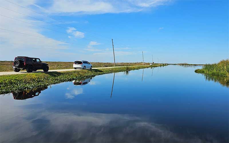 Lake Apopka Wildlife Drive | Nature Viewing Route Tour in Apopka