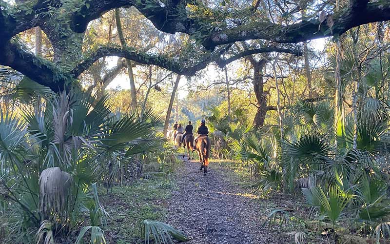Hidden Palms Ranch | Horseback Trail Rides, Lake Jesup / Sanford
