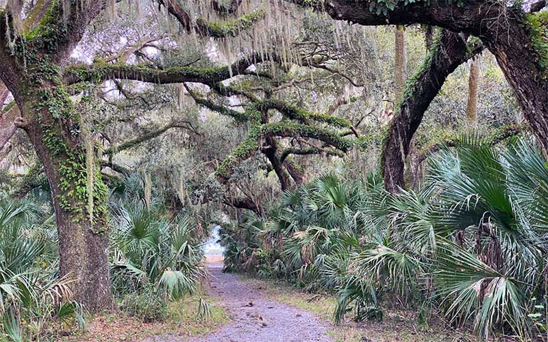 Lake Jesup Conservation Area | Trails & Nature Park near Orlando
