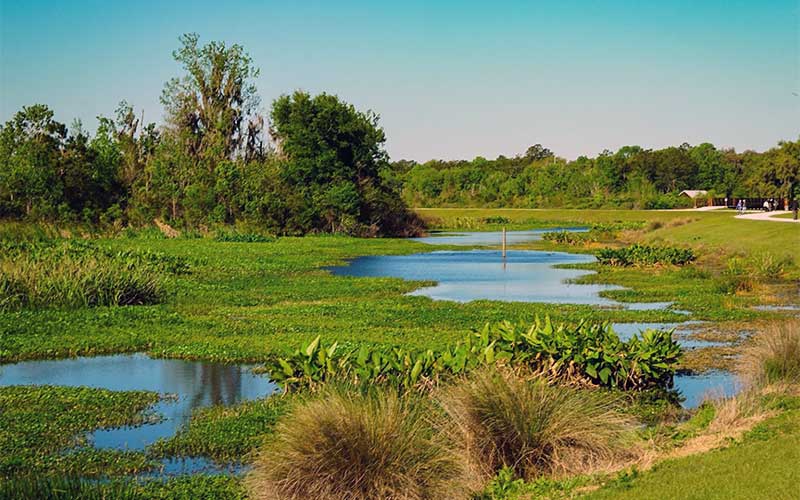 Paynes Prairie Preserve State Park | Wildlife Area near Gainesville