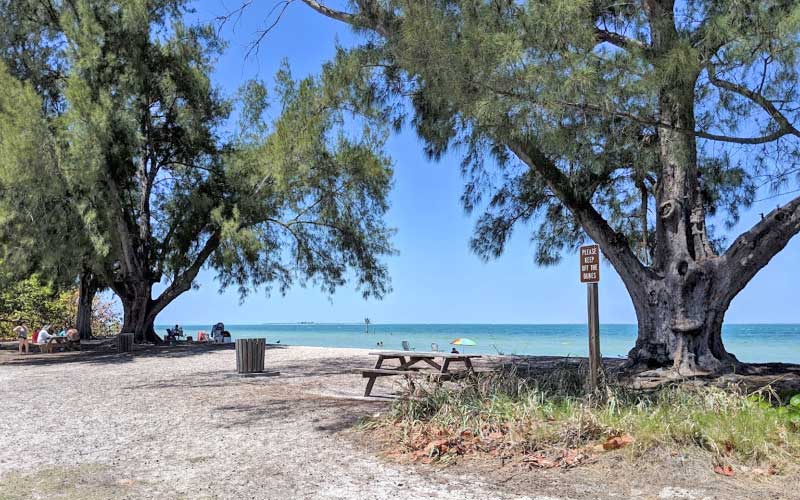 100+ Anna Maria Island Things To Do on Vacation