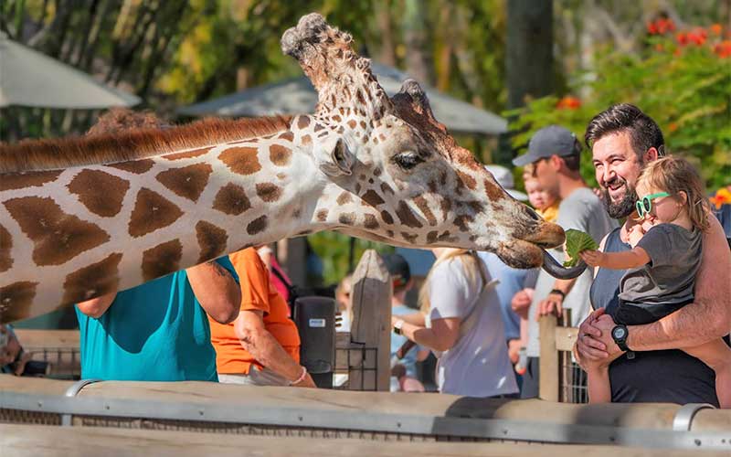 Naples Zoo at Caribbean Gardens | Animal Park, Tours & Feedings