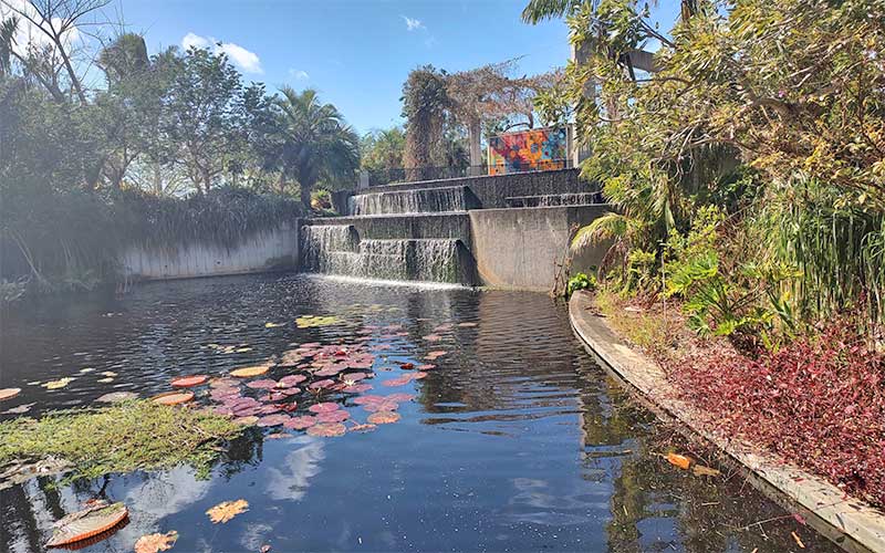 Naples Botanical Garden | Nature Preserve with Tours & Events